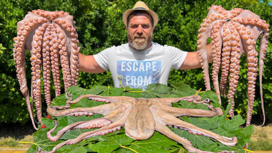 پاستای هشتپا