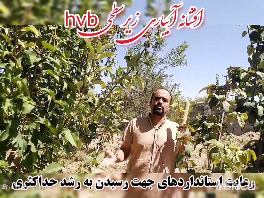 آبیاری زیرسطحی hvb-رعایت استانداردها برای رسیدن به رشد حداکثری