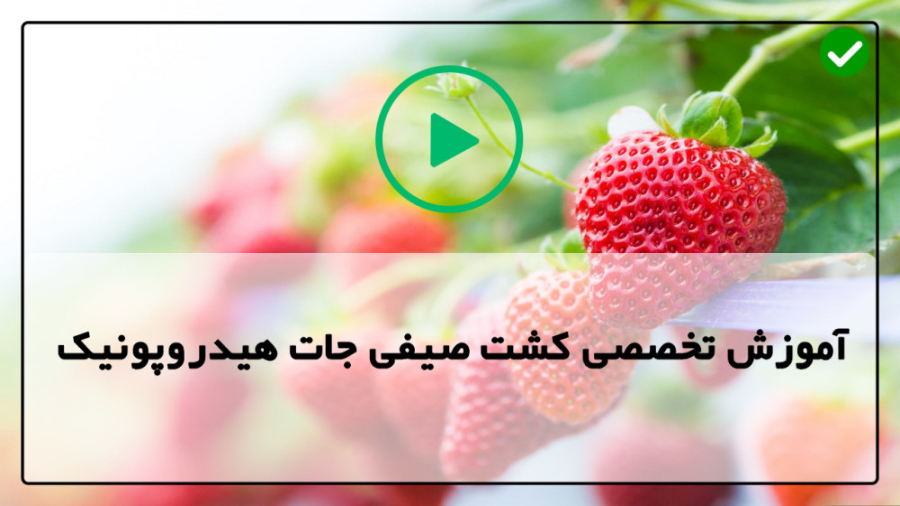 نحوه ی ساخت گلخانه هیدروپونیک خانگی