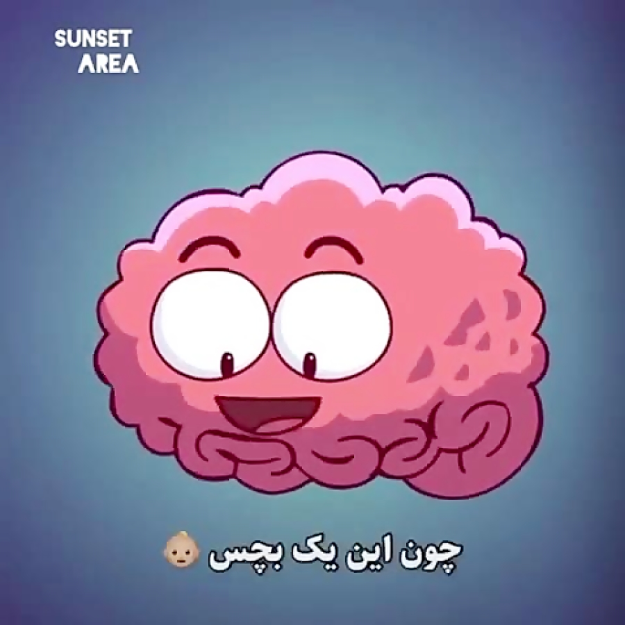دوران حاملگی