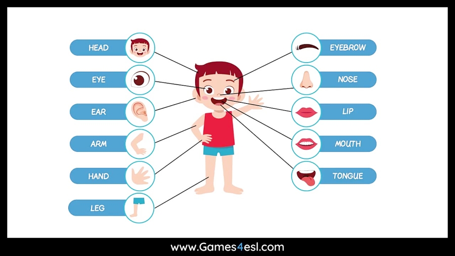 Body Parts Vocabulary