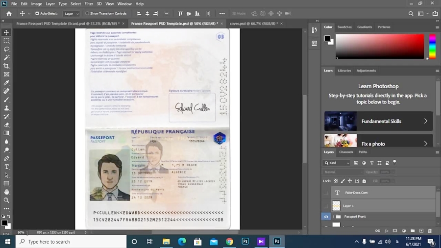 FRANCE PASSPORT PSD TEMPLATE
