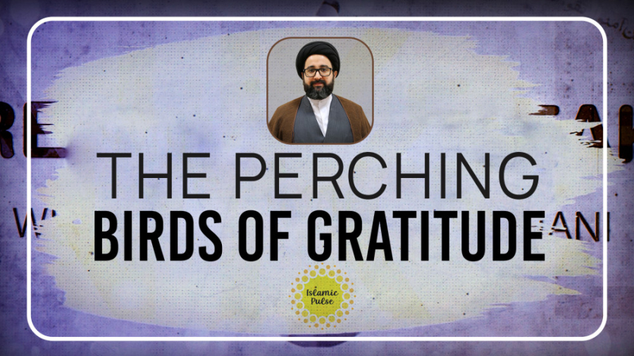 The Perching Birds of Gratitude | Reach the Peak