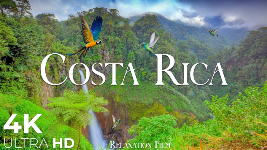 موسیقی پیانوی آرامش بخش برای خواب ، مطالعه و آرامش | موسیقی بیکلام