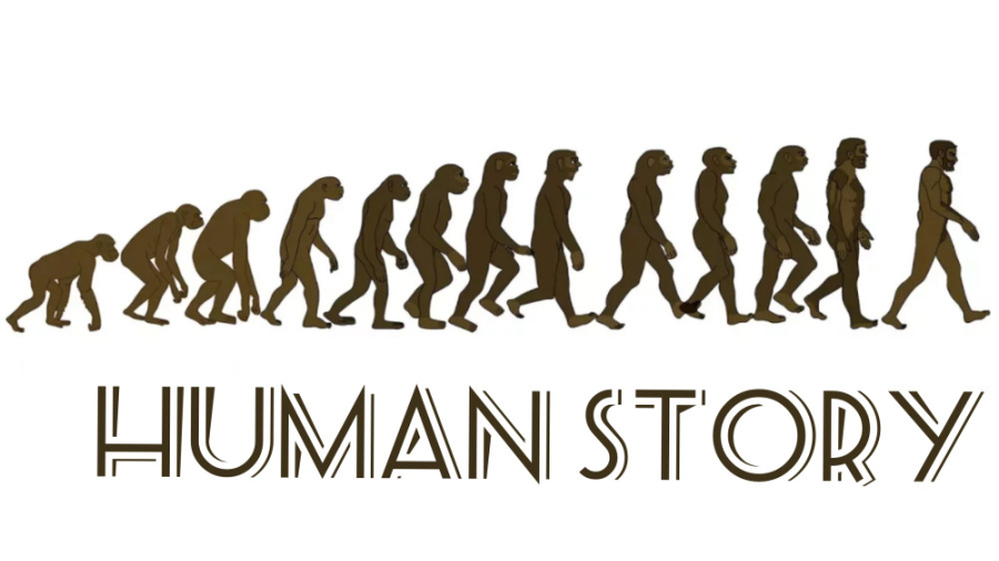 ارائه زبان /suntalk-1/human story/ زمستان ۱۴۰۱