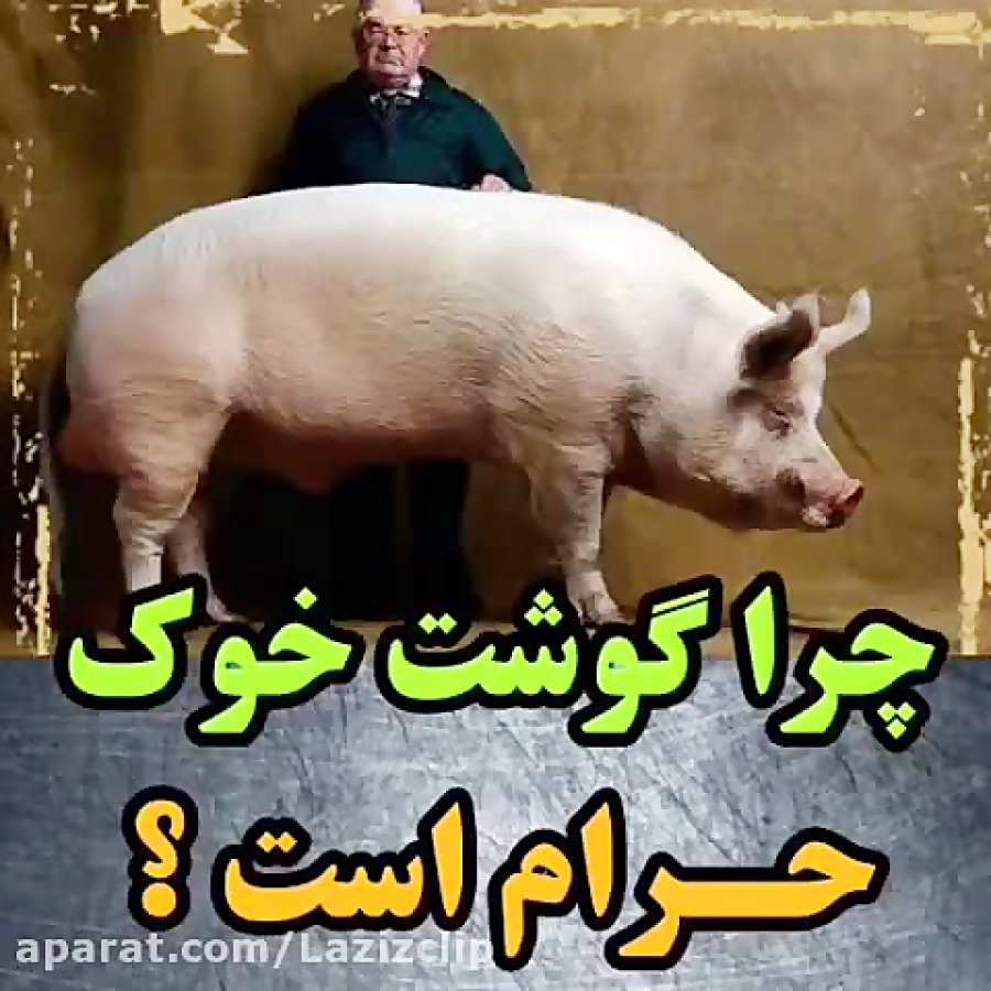 چرا گوشت خوک حرام هست؟