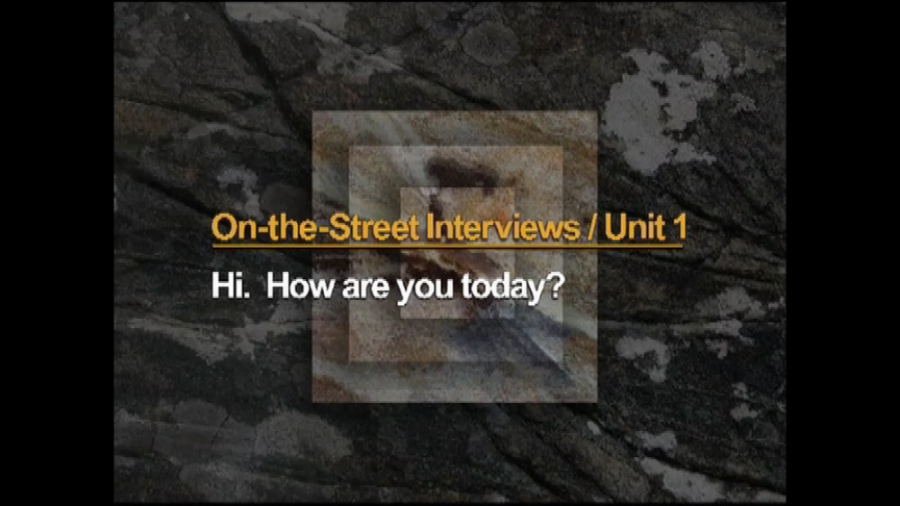 Top Notch Fundamentals Unit 1 Interview