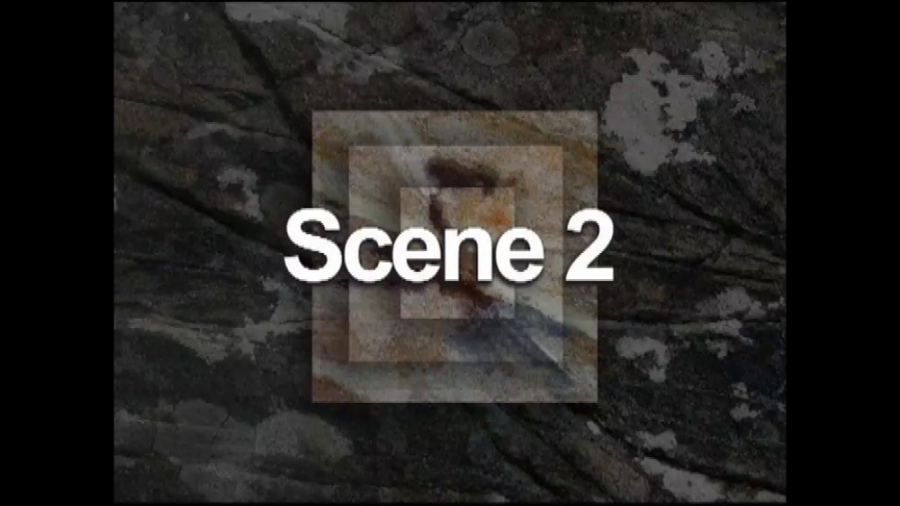 Top Notch 3 Unit 4 Scene 2