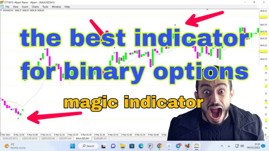 binary option signal channel