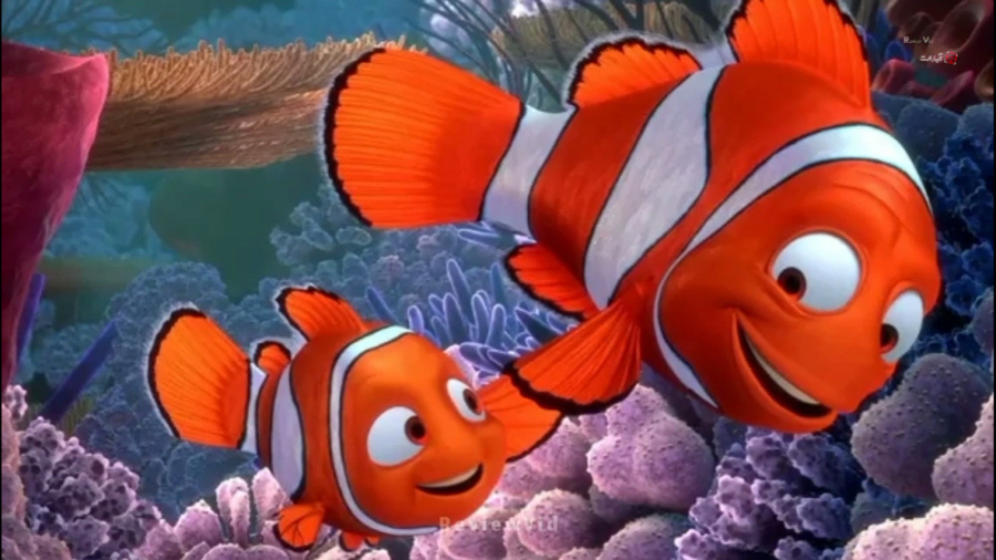 معرفی انیمیشن FINDING NEMO | از بهترین انیمیشن های والت دیزنی