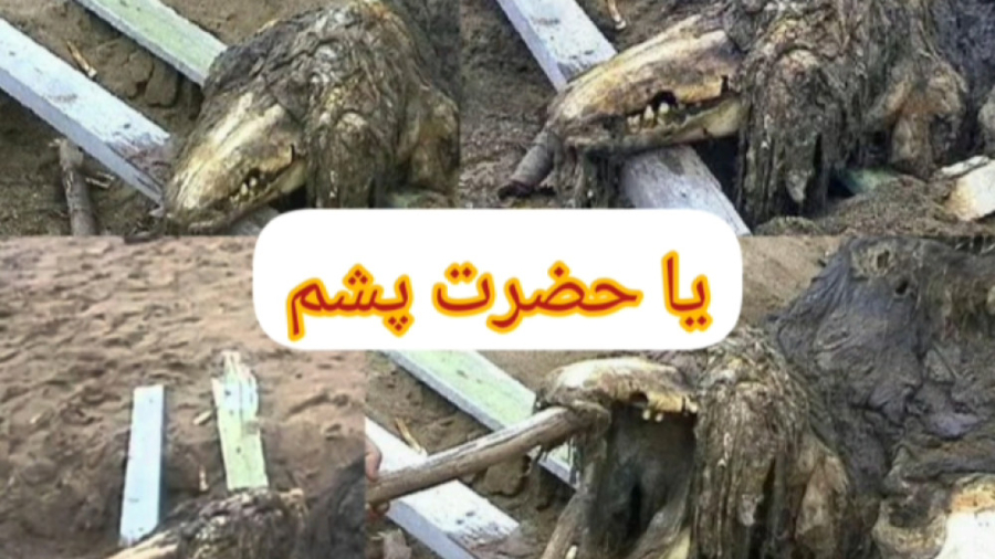 معرفی معروف ترین اس سی پی (SCP) های جهان! پارت ۱#