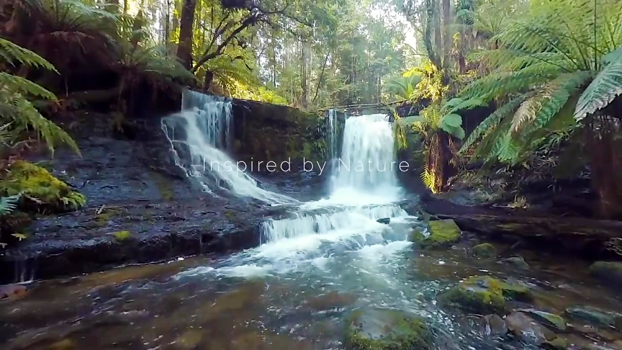 2041 : Virtual Nature 360° - 5.7K Nature Meditation for Oculus Quest