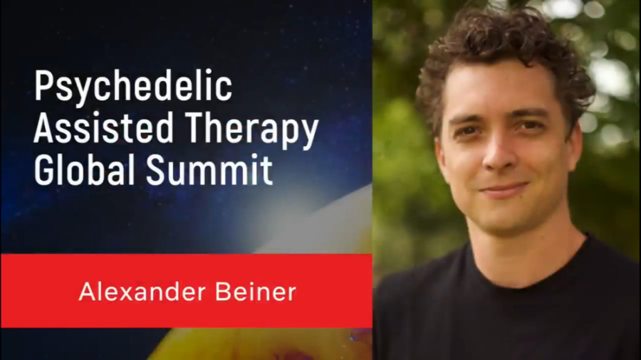 Day1-Alexander Beiner - Sensemaking