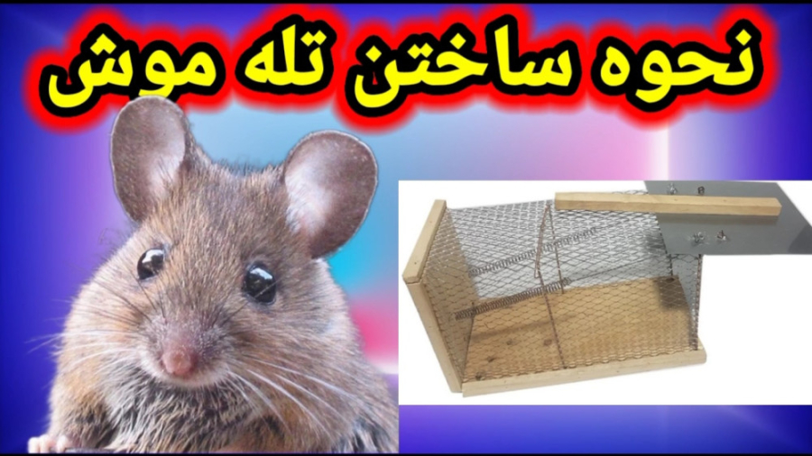 آموزش ساخت تله (موش)