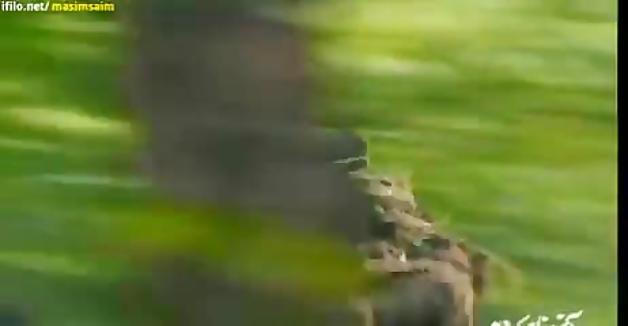 سریال گیلدخت قسمت ۵۶ / تیزر