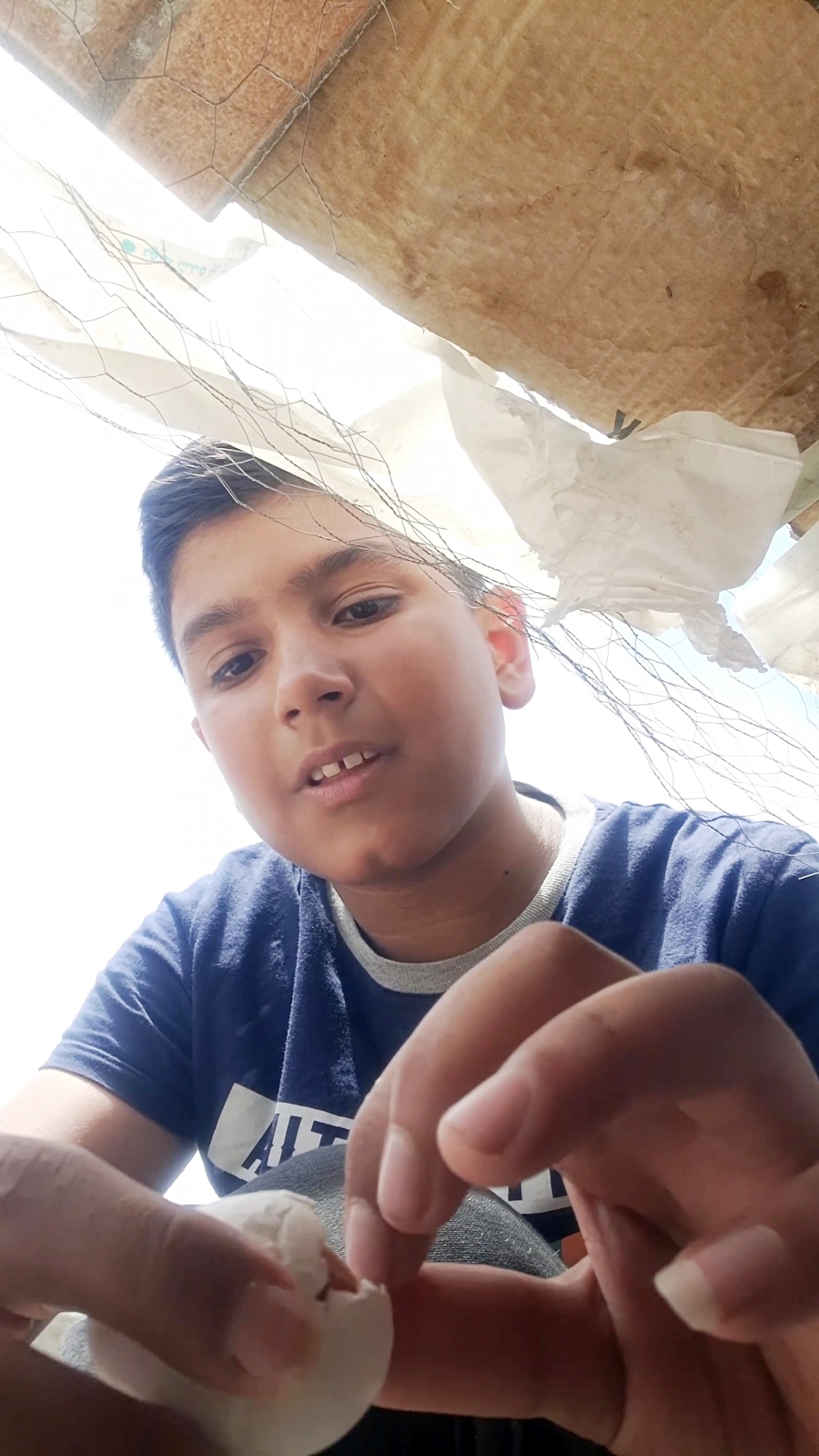 جوجه از تخم در آمده