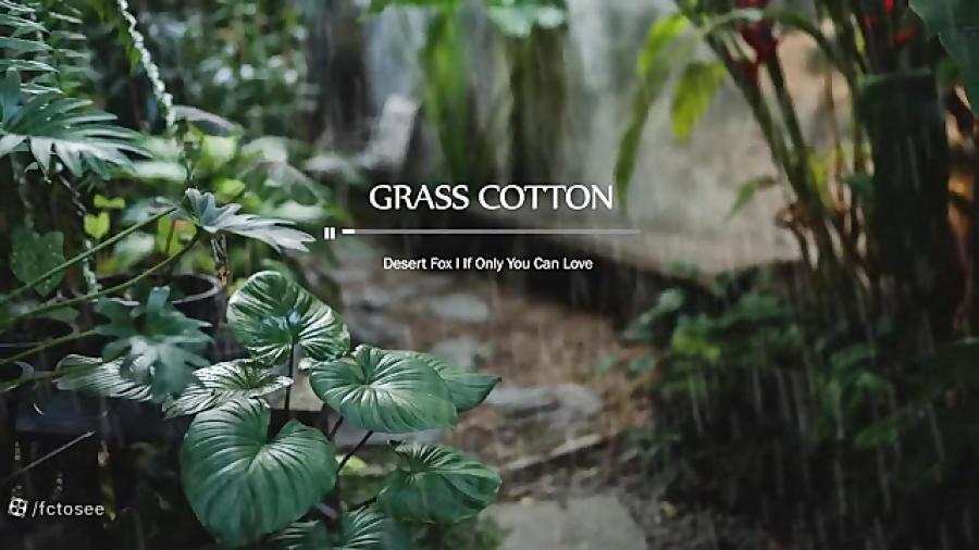 موسیقی پیانوی آرامش بخش برای خواب ، مطالعه و آرامش | موسیقی بیکلام