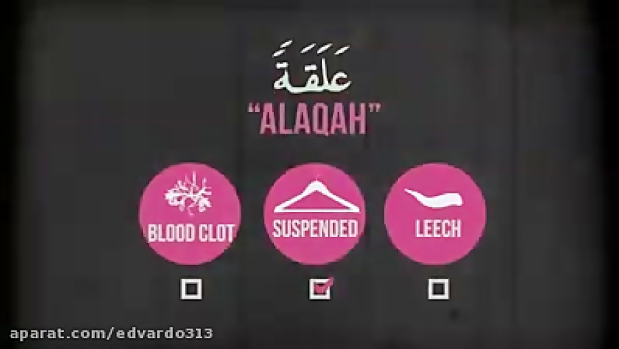 مراحل شکل گیری جنین درآیات قرآن