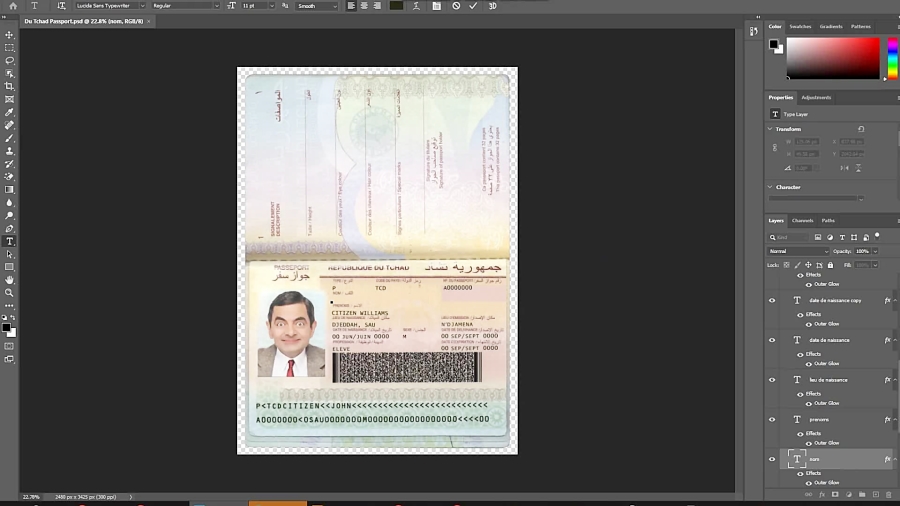 Chad (République du Tchad) passport template in PSD format, fully editable