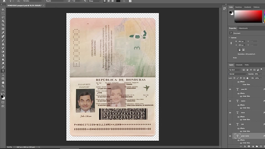 HONDURAS passport template PSD format, completely editable