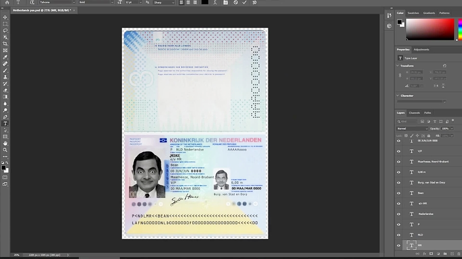 Netherlands passport template in PSD format, fully editable, (2014 ...