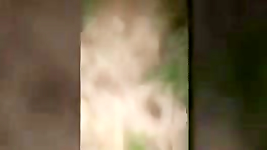 سعیدوارکاور