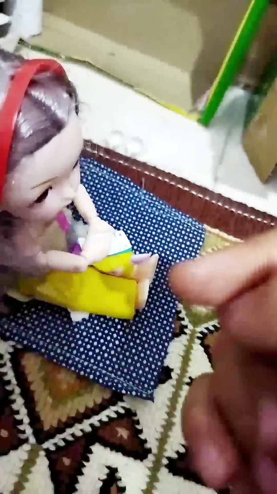 خانه باربی جدیدم