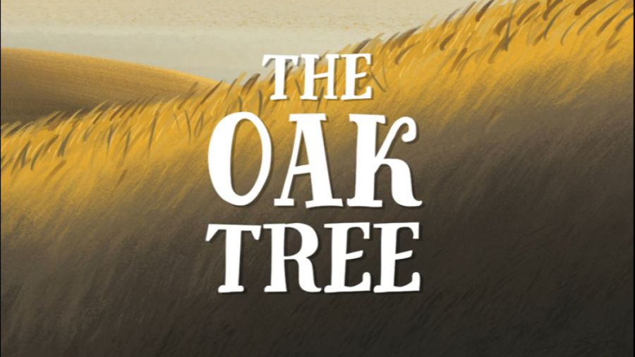 The oak tree cartoon