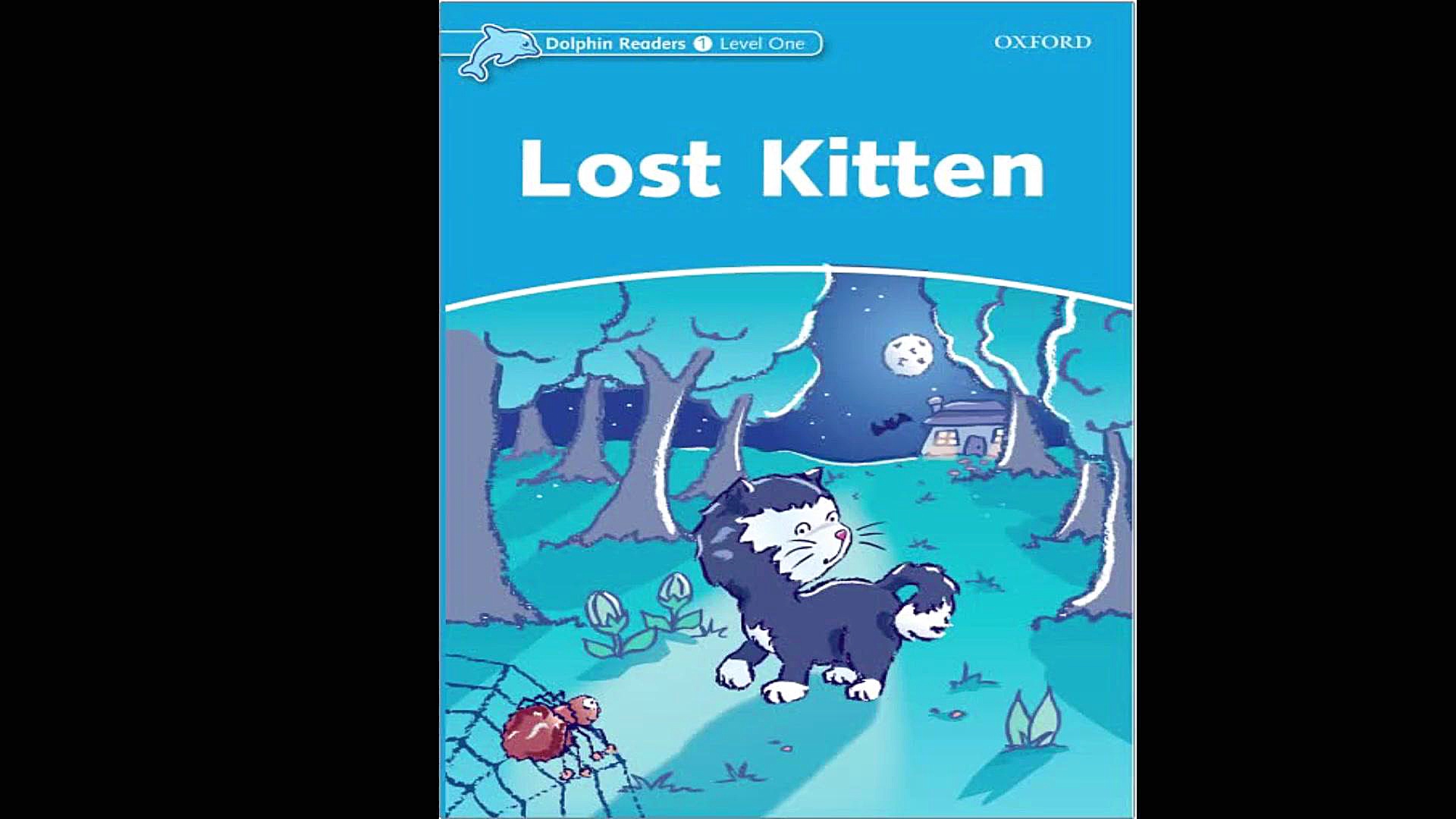 lost kitten/story book