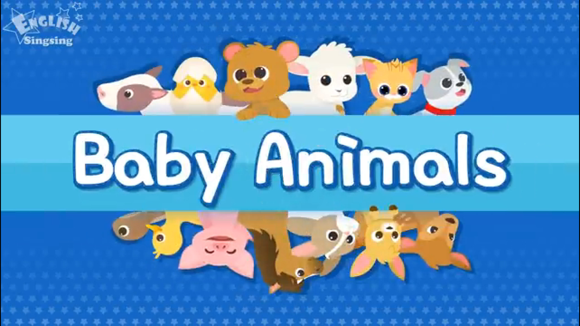 Baby animals- baby animals vocabulary
