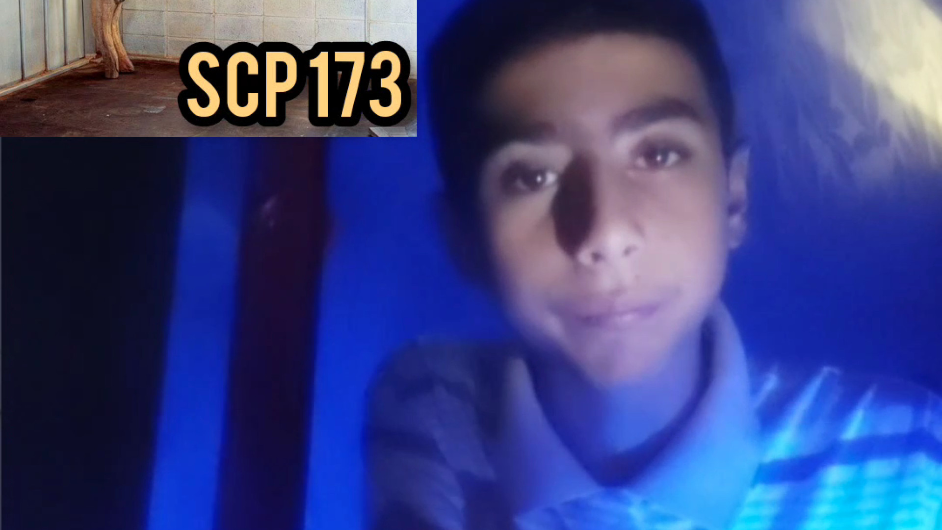 سازمان/ اس سی پی. ( SCP 173 . SCP 323 )