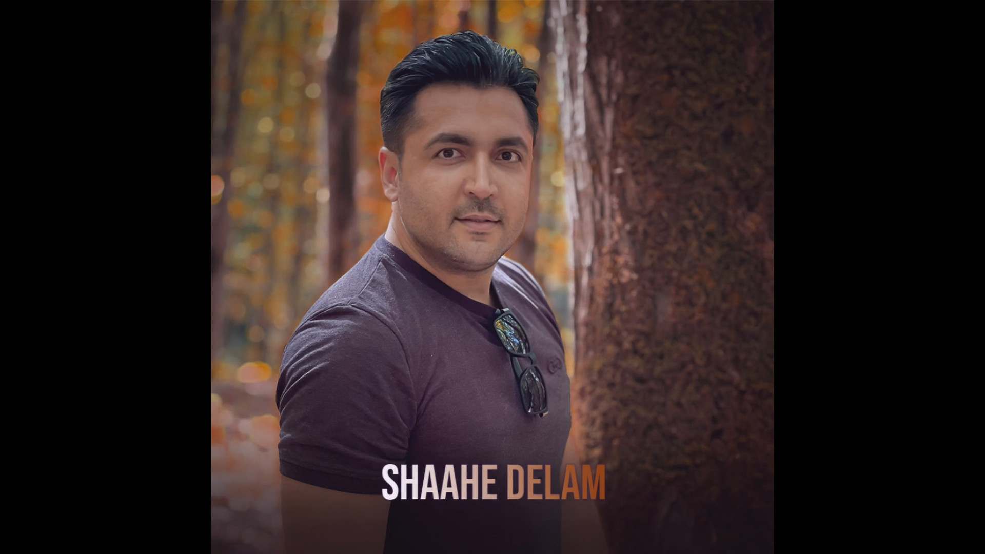 مصطفی برنامهر شاه دلم Mostafa Bornamehr Shaahe Delam