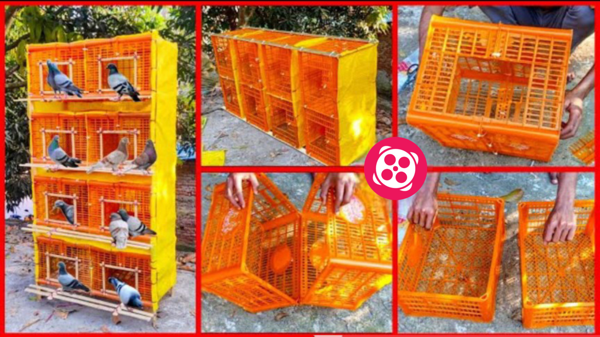 آموزش ساخت لانه چهار طبقه با سبد کبوتر،بلدرچين،کبک،مرغ