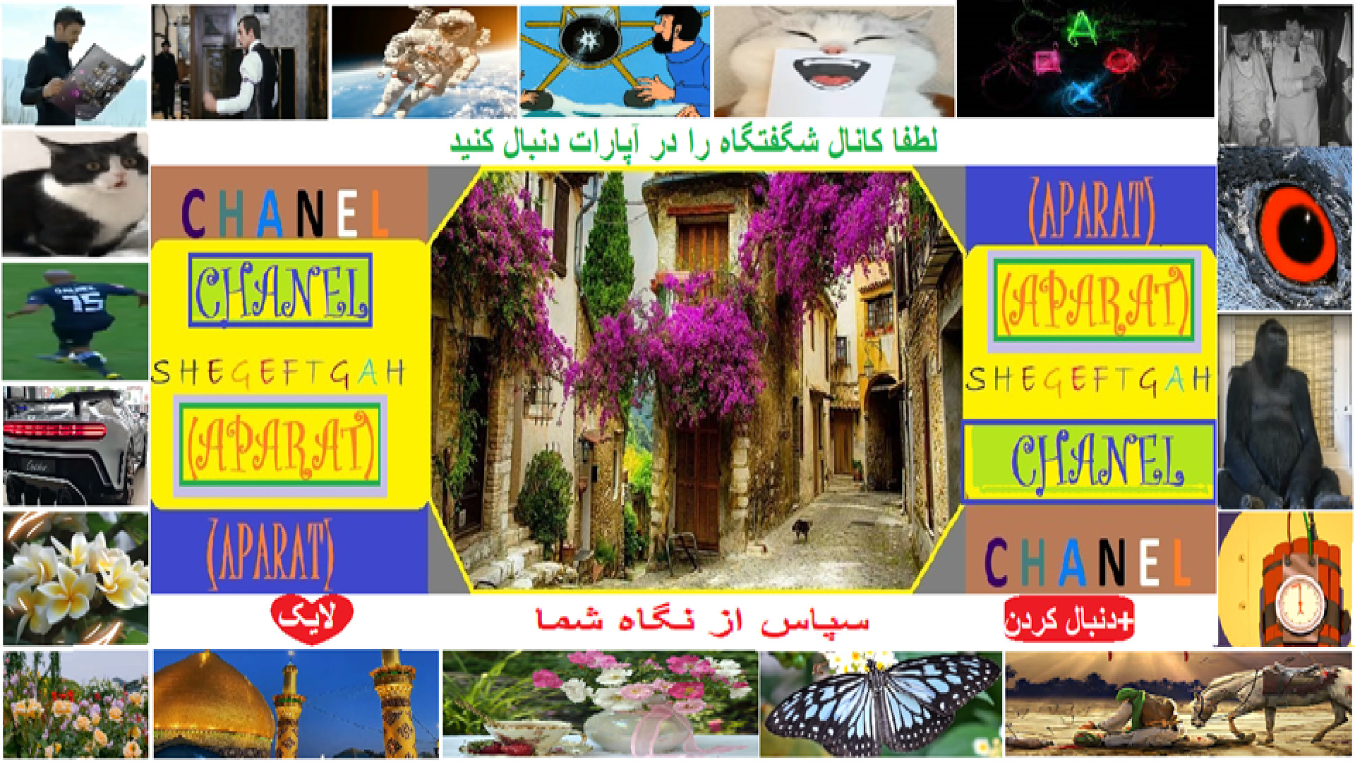 به شگفتگاه خوش آمدیدWelcome to Shegeftgah Channel
