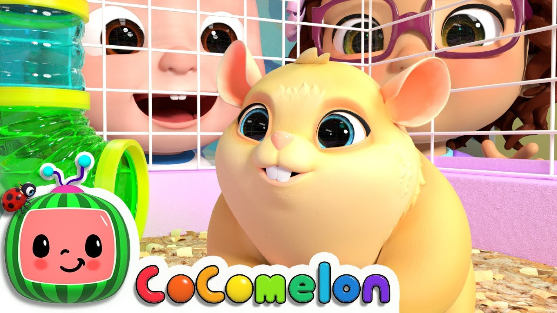Class Pet Song | CoComelon Nursery Rhymes Kids Songs