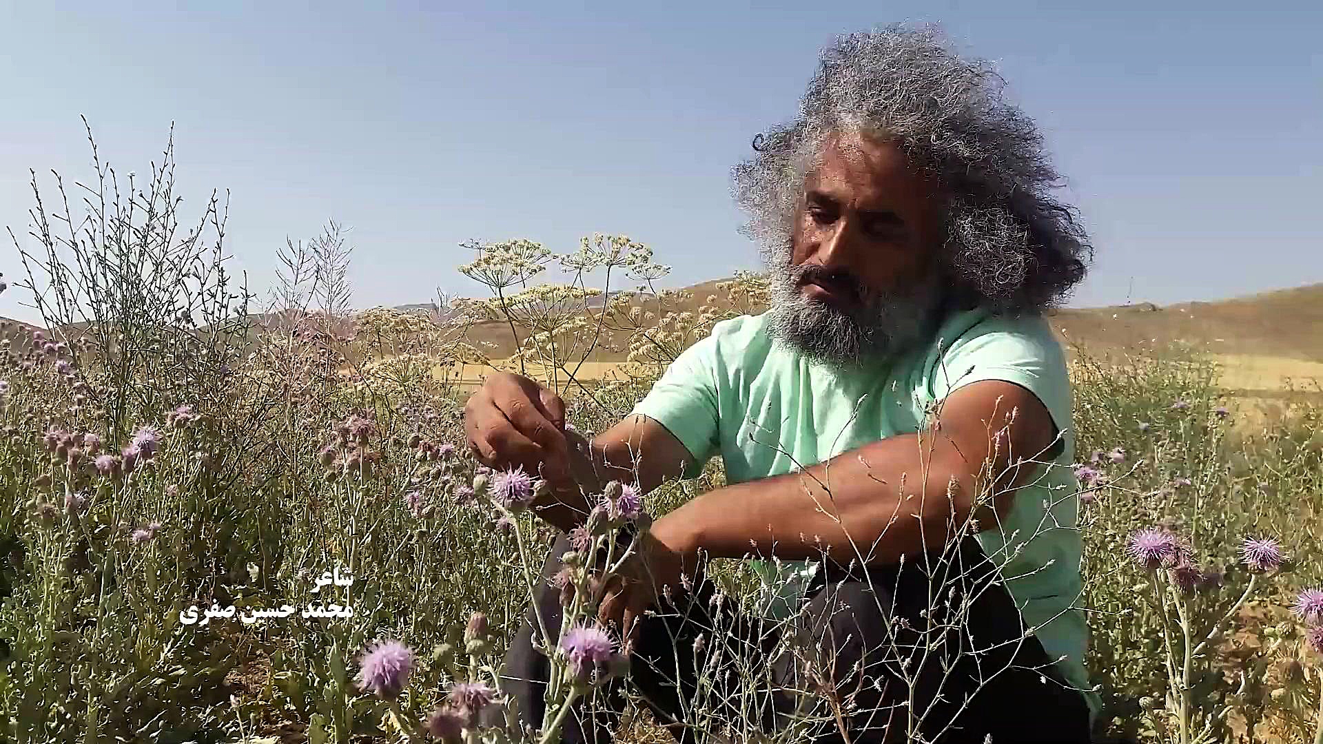 عاشقانه های شاعر در طبیعت(محمد حسین صفری)