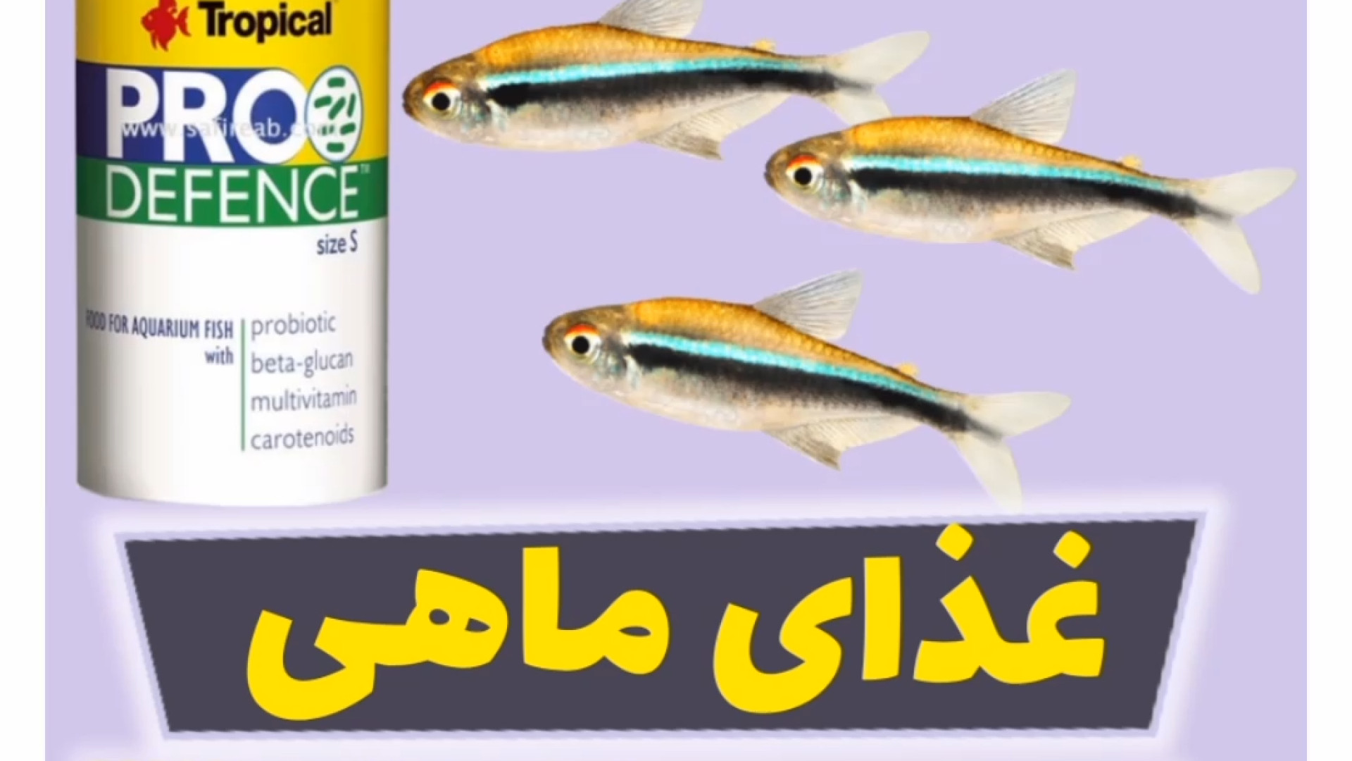 غذای گرانولی پرو دیفنس سایز مدیوم تروپیکال(Tropical Pro Defence Size M)