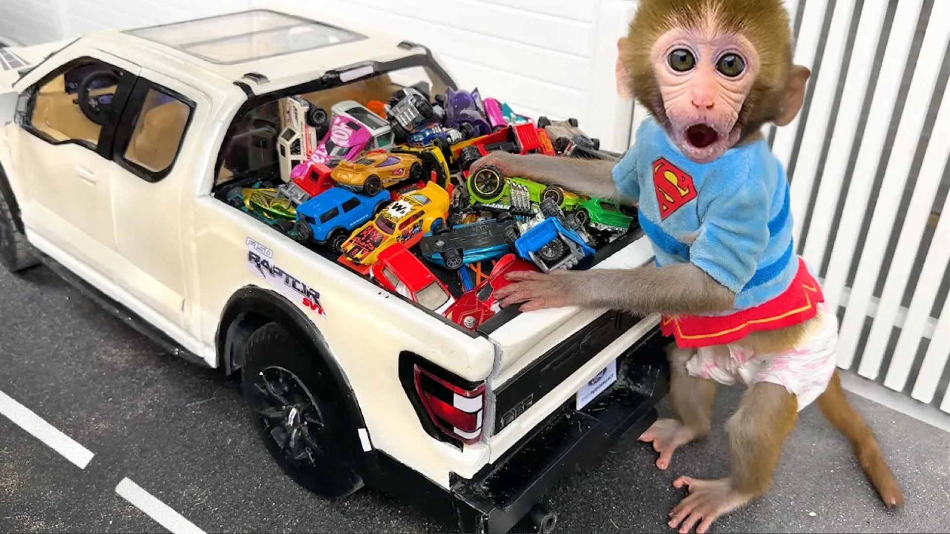 Monkey Baby Bon Bon drives a car and plays with puppy and duckling by ...
