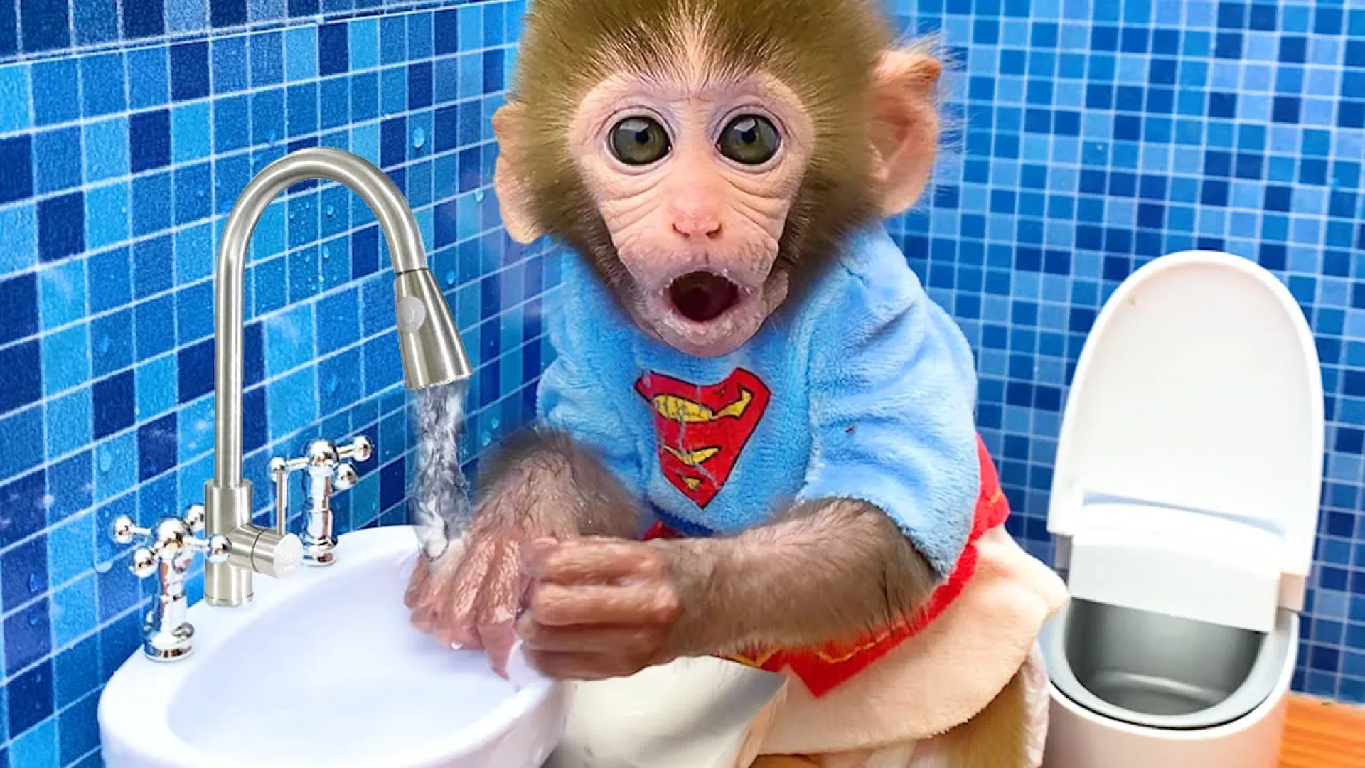 Monkey Baby Bon Bon wash hands in the toilet and eats fruit ice cream ...