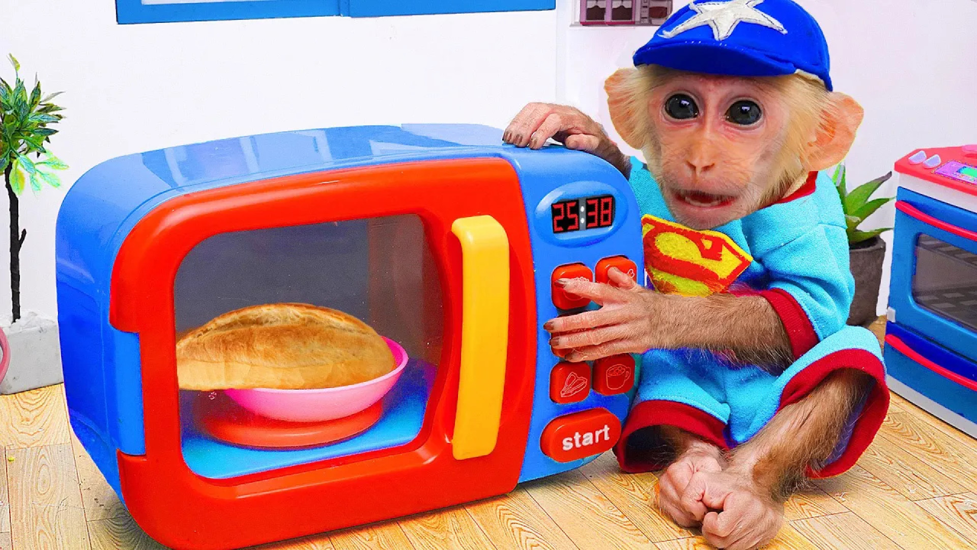 Baby Monkey Bi Bo Make bread By microwave in the morning