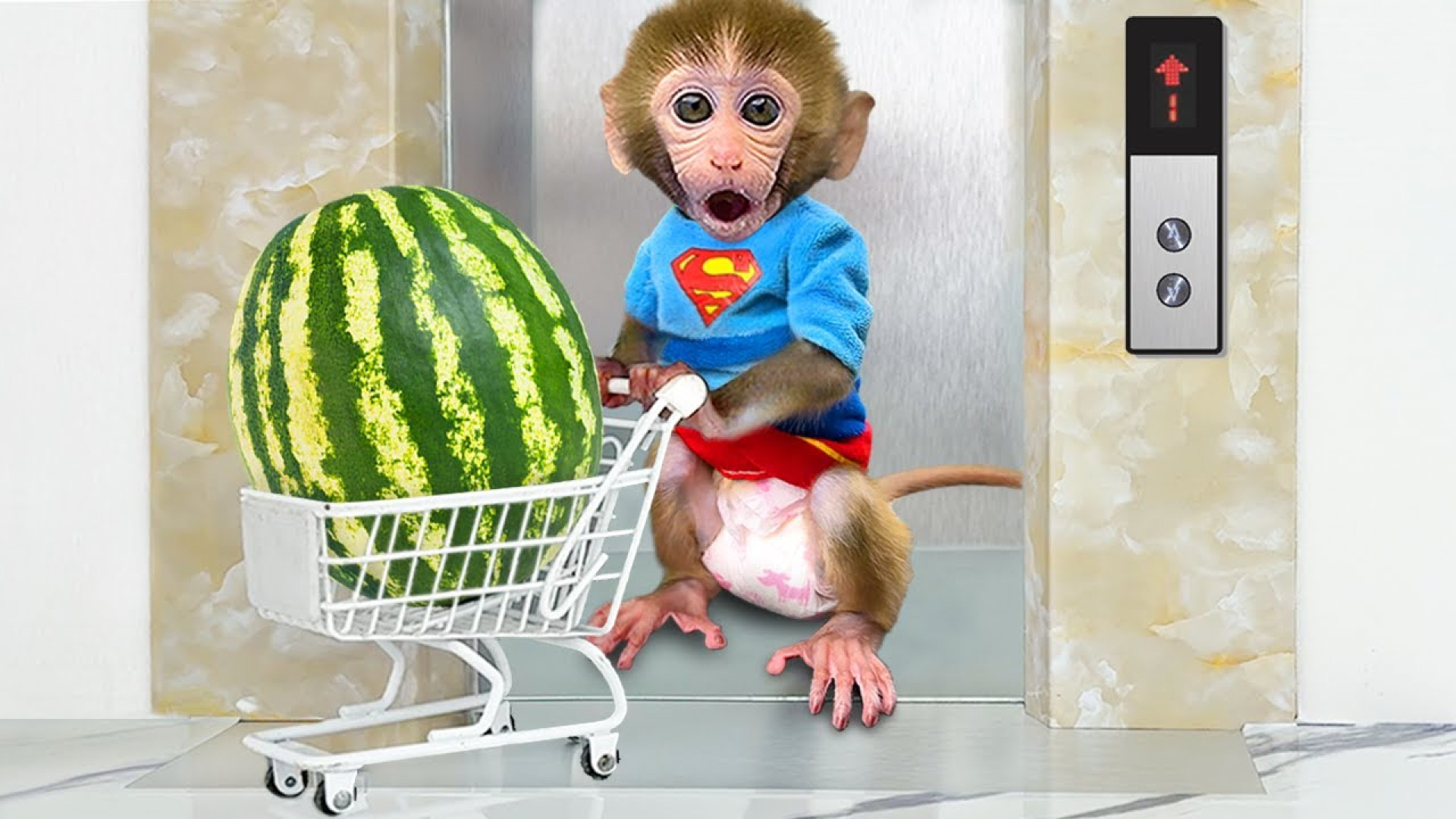 Monkey Baby Bon Bon Monkey Makes a House for the Duckling and Swims ...