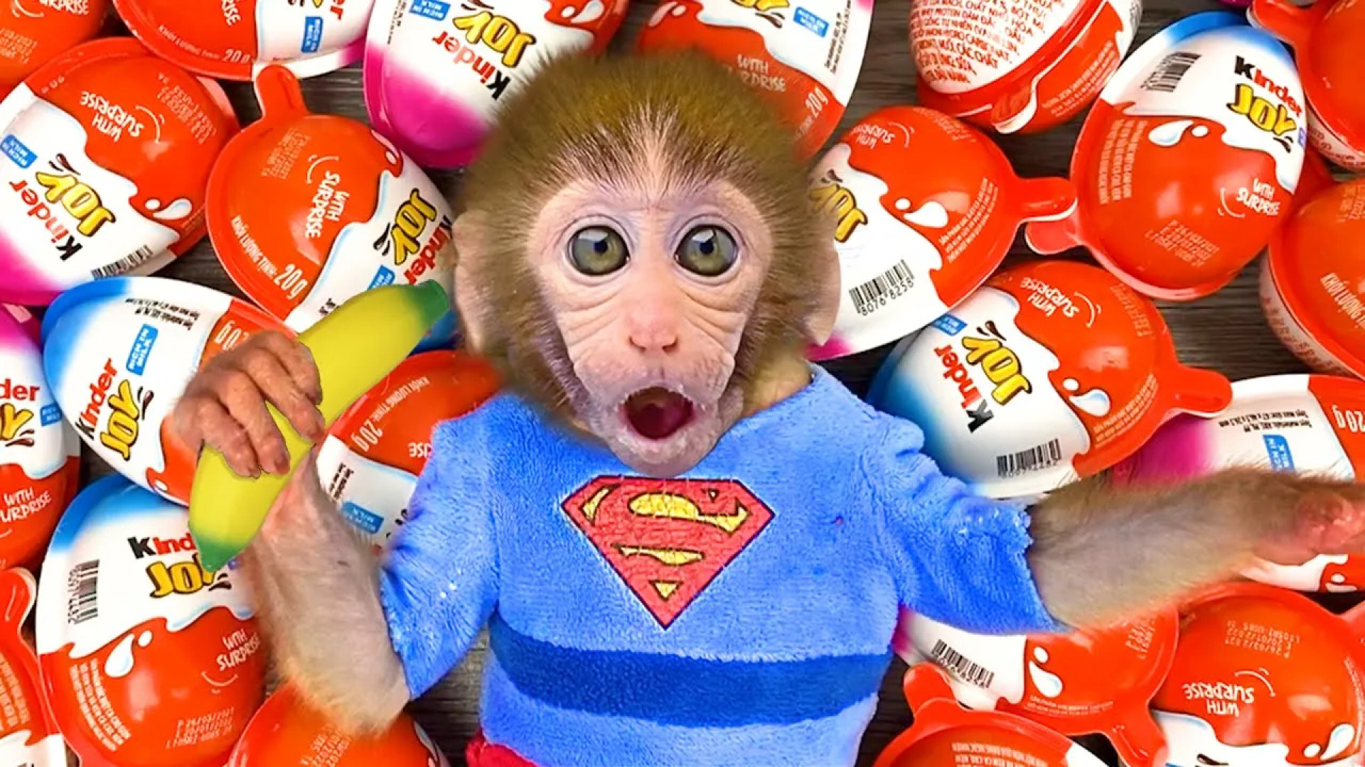 Monkey Baby Bon Bon and puppy open Yummy Kinder Surprise Egg contain ...