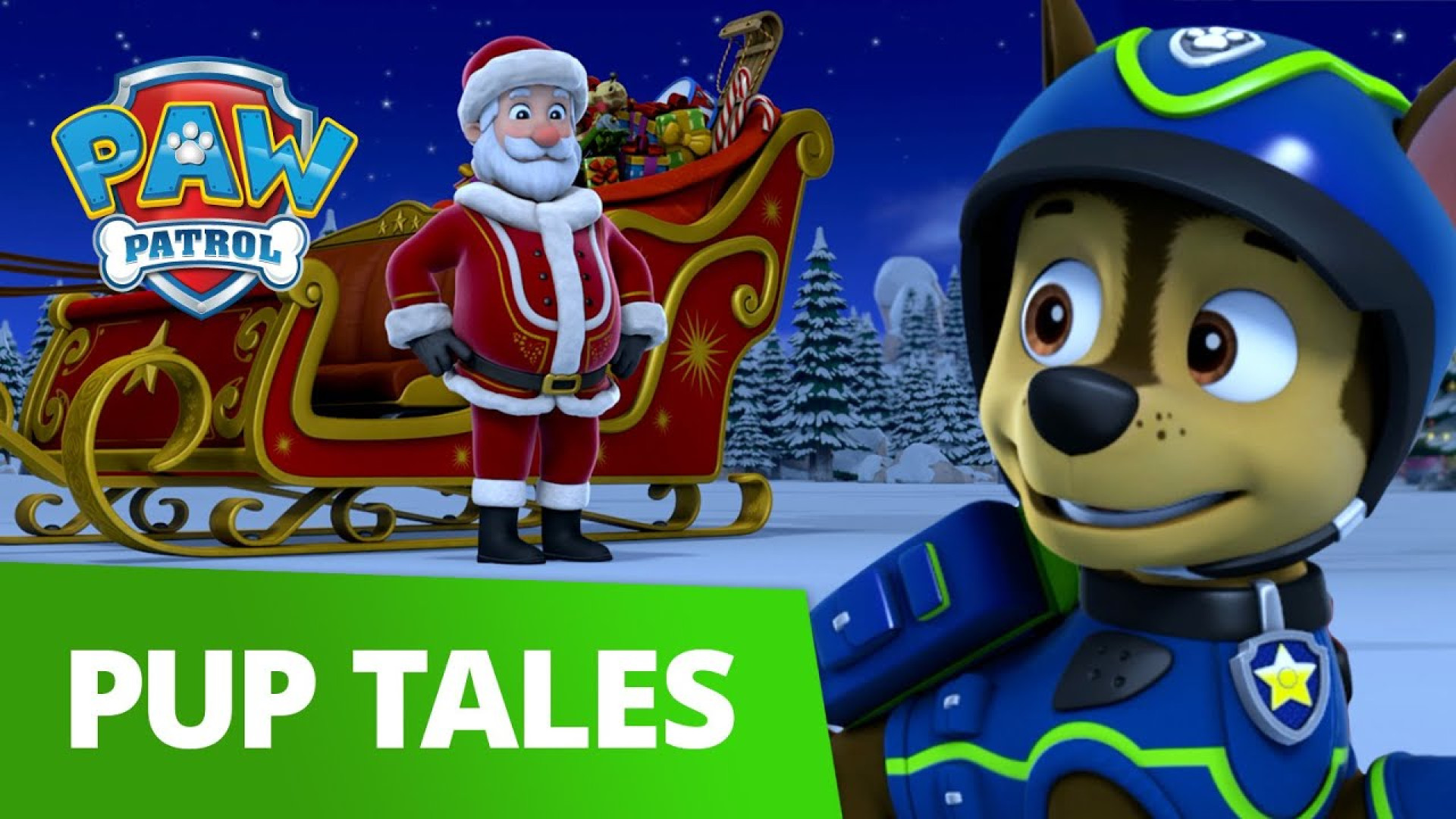 PAW Patrol Moto Pups Wild Cat Save the Ferris Wheel! Rescue Episode PAW ...