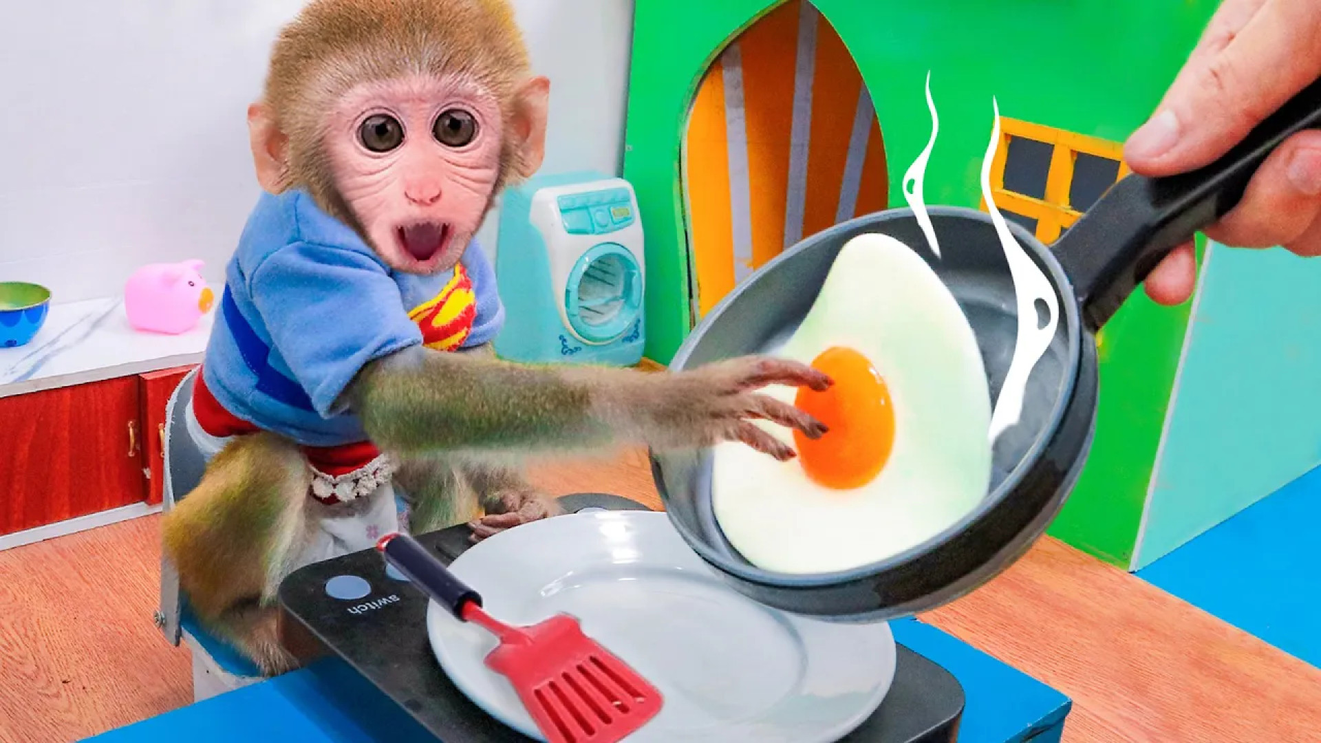 Baby Monkey Oxy go to the toilet in the morning and eats eggs so cute