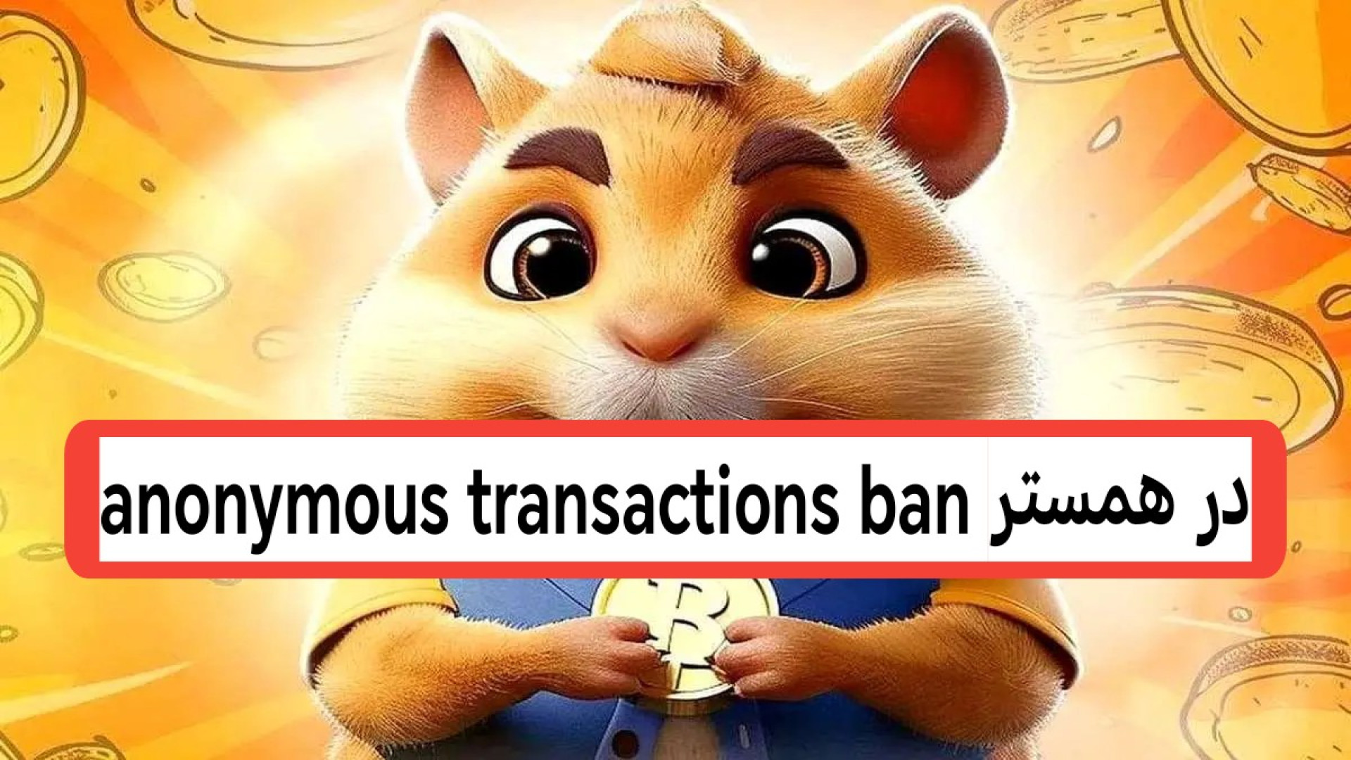 anonymous transactions ban در همستر