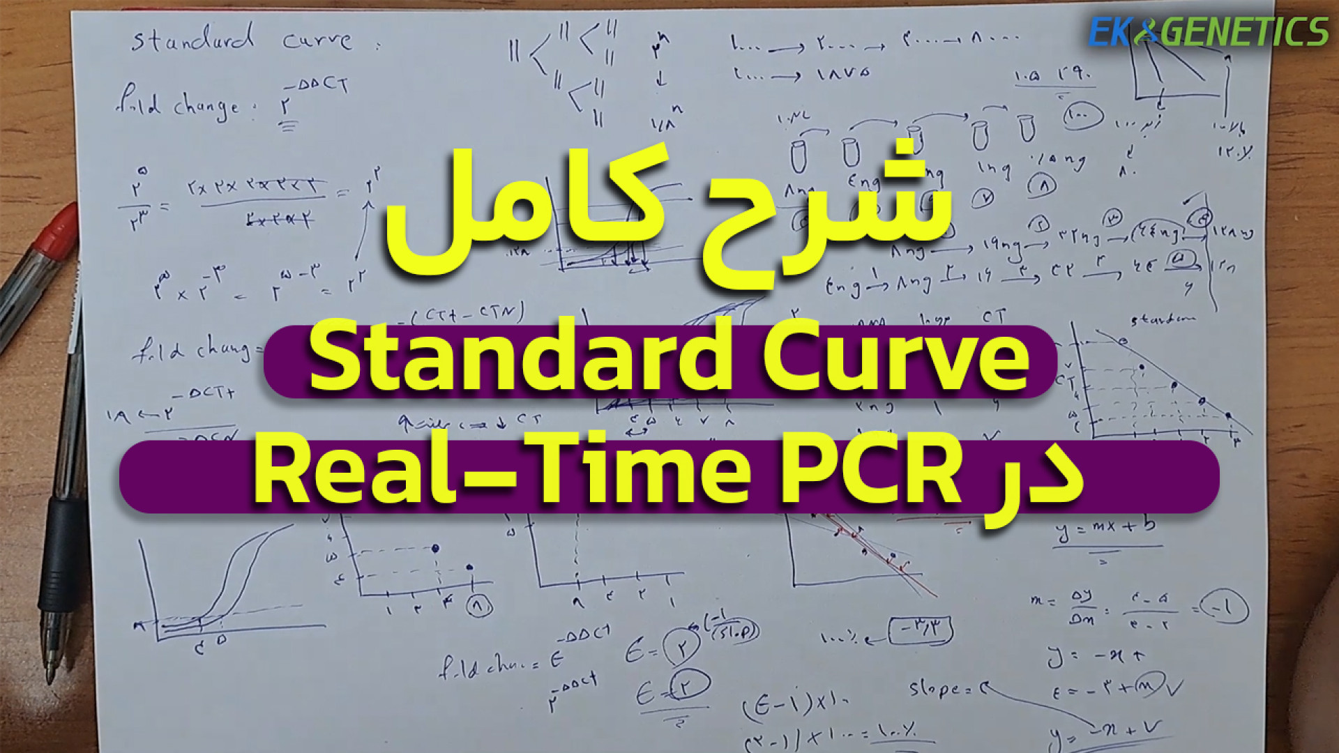شرح کامل منحنی استاندارد (Standard Curve) در Real-Time PCR