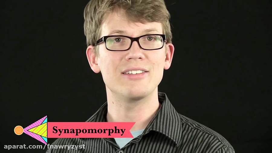 Complex Animals: Annelids