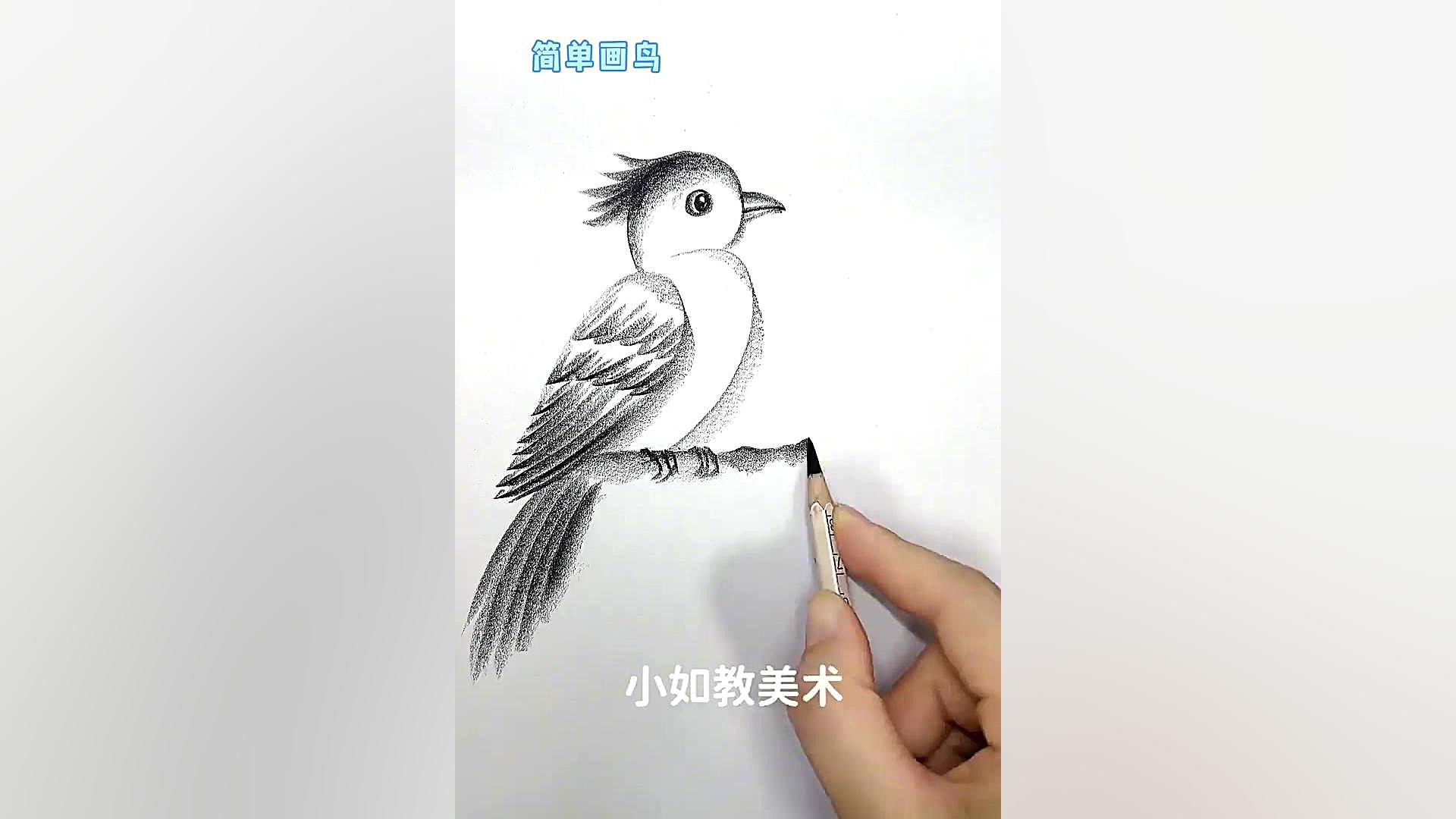 How to draw Sparrow | Easy Sparrow Drawing Tutorial