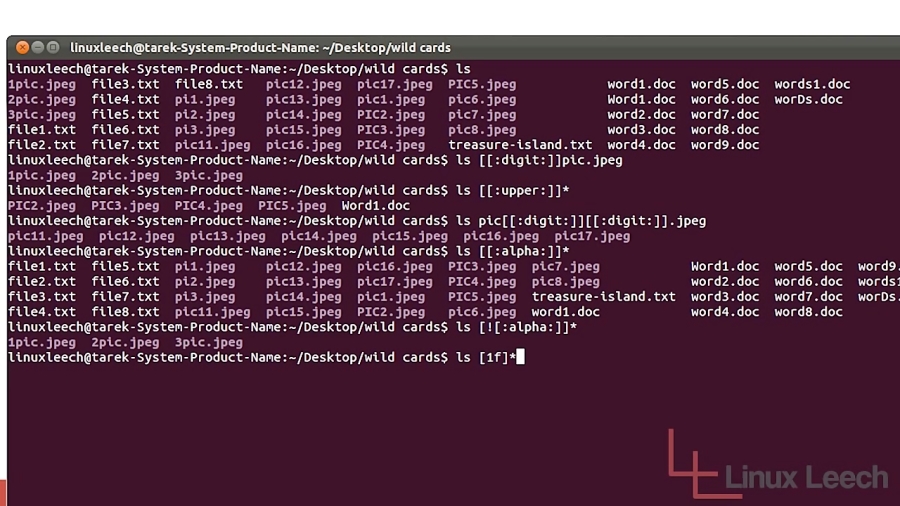 BASH Shell commands wildcard character classes ( commands for linux )