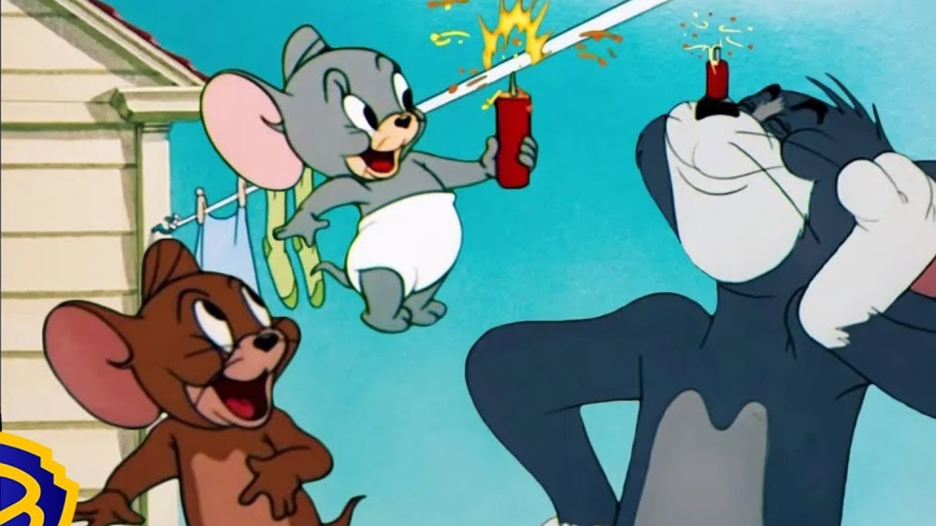 کارتون تام و جری جدید انیمیشن تام و جری جدید کارتون موش و گربه tom Jerry